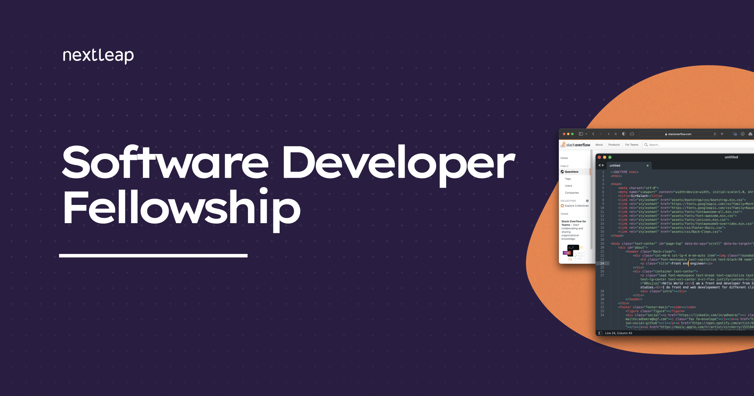 Software Developer Fellowship Software Developer Fellowship